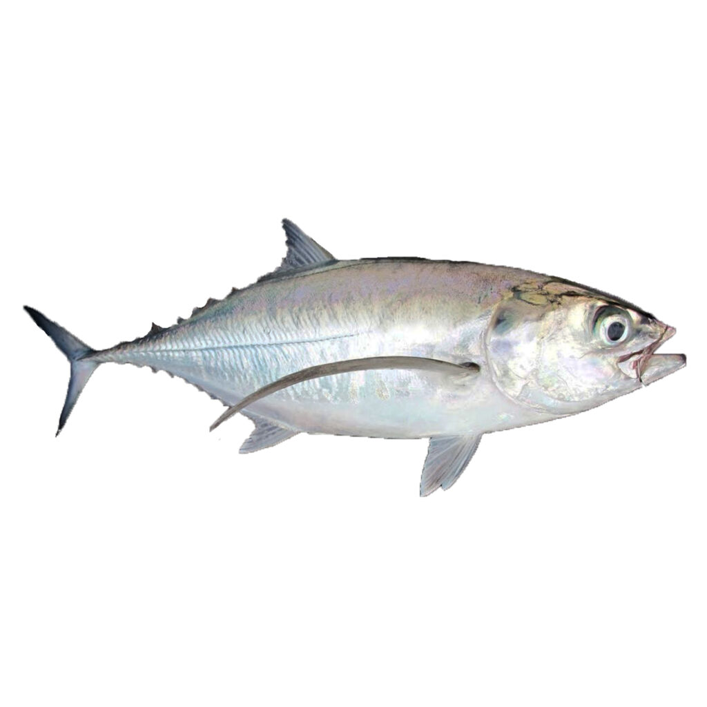 FISH Archives - Iloilo Supermart Online- Aton Guid ini!