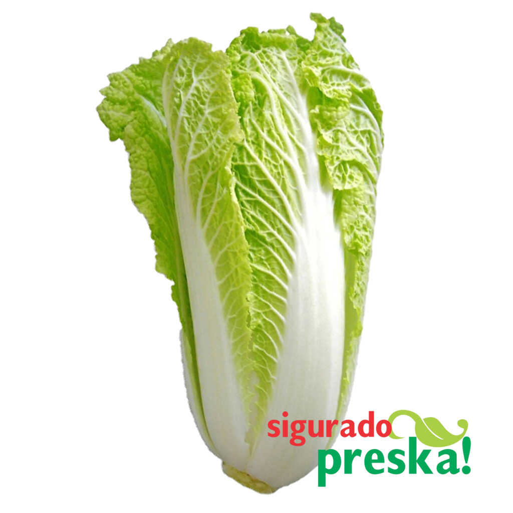 CHINESE PECHAY BAGUIO GS / KG - Iloilo Supermart Online- Aton Guid ini!