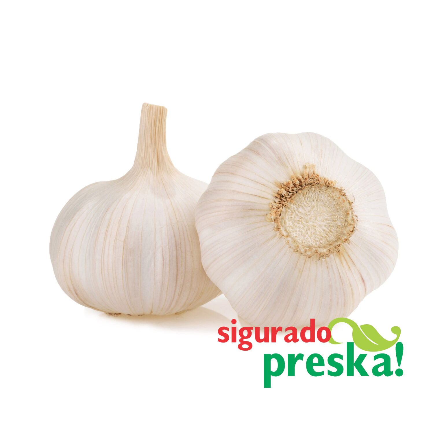 GARLIC GS / KG - Iloilo Supermart Online- Aton Guid ini!
