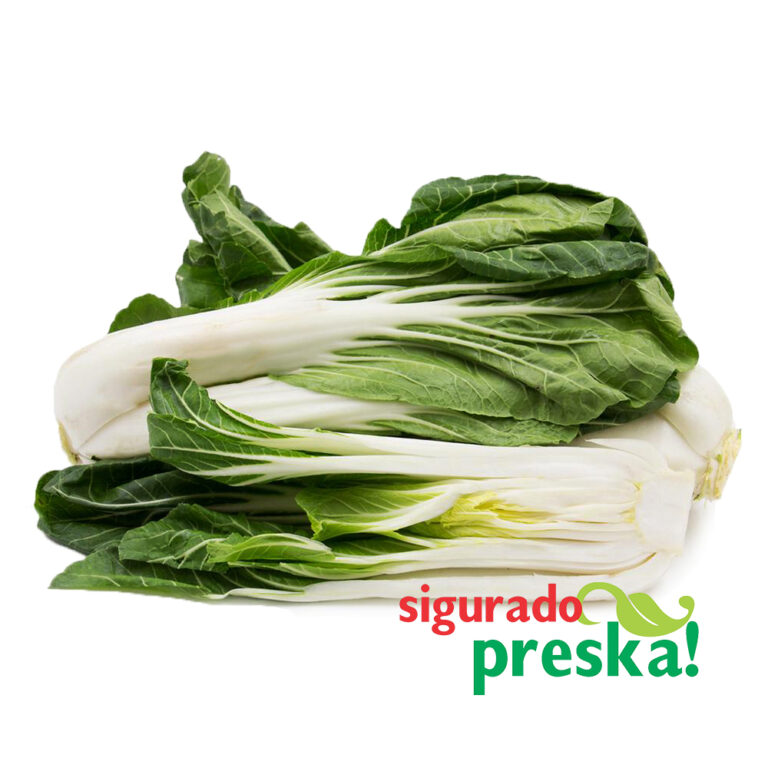 PECHAY OV / KG - Iloilo Supermart Online- Aton Guid ini!