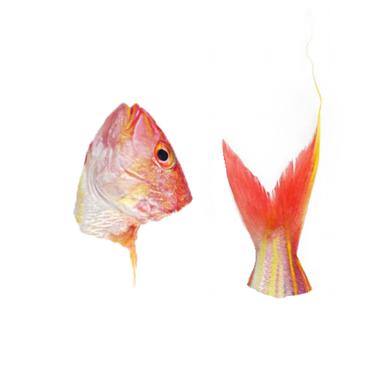 FRESH MEAT AND SEAFOOD Archives - Iloilo Supermart Online- Aton Guid ini!