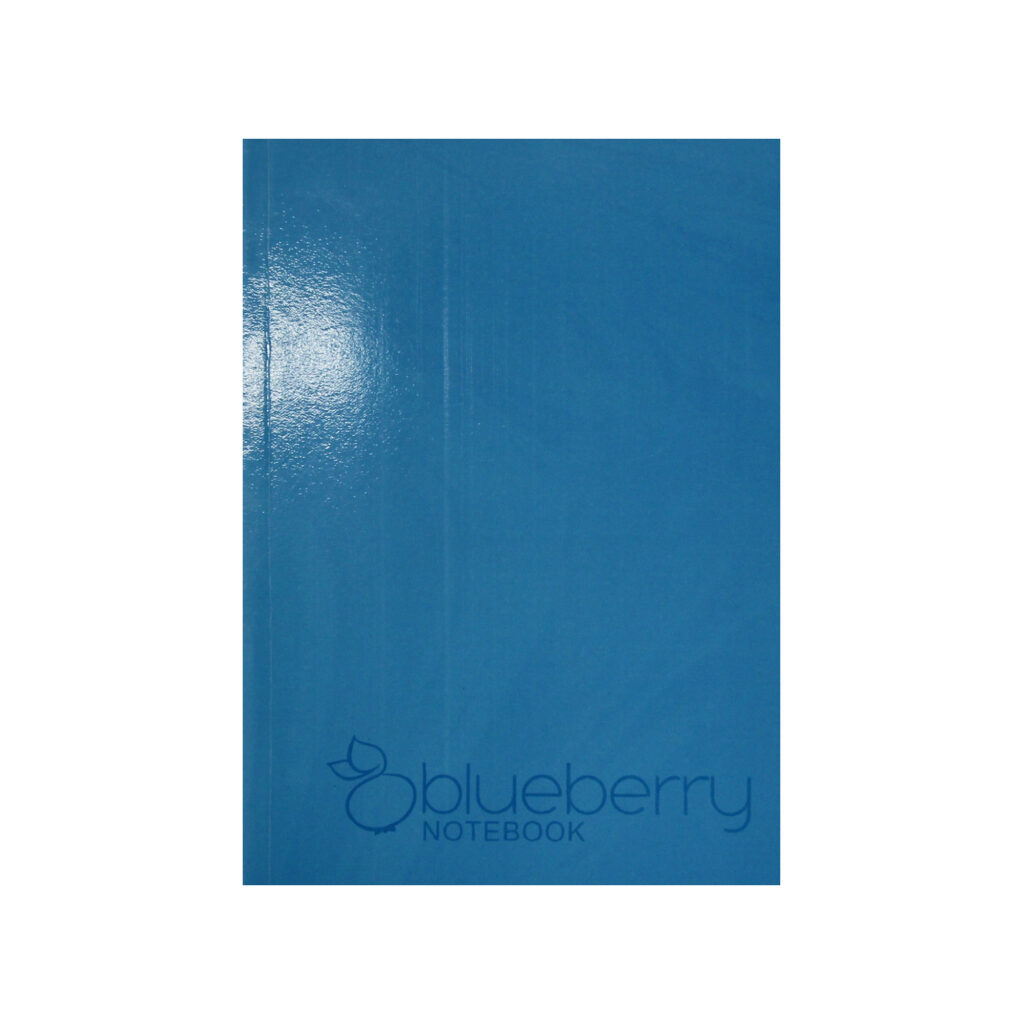 BLUEBERRY PADDED NB #BP 6-80 - Iloilo Supermart Online- Aton Guid ini!